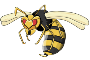 12 Murder Hornet Facts - The Asian Giant Hornets Interesting Facts