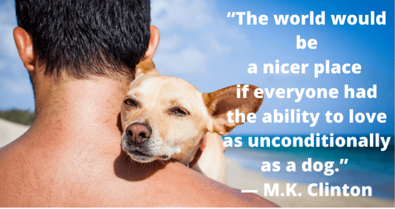 20 SUPER Amazing Dog Facts You Probably Didn't Know