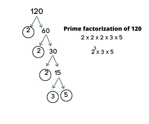SOLVED Prime Factorization STEP By STEP Easy Method 1 To 1000 SOLVED Prime Factorization STEP By STEP Easy Method 1 To 1000