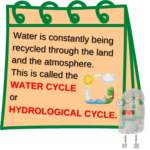 The Water Cycle Steps - How the Water Cycle Works Step by Step