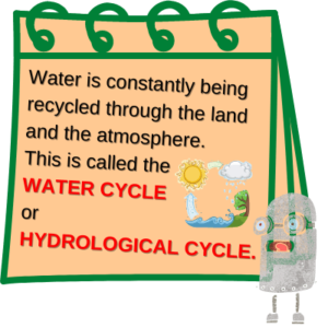 The Water Cycle Steps - How the Water Cycle Works Step by Step