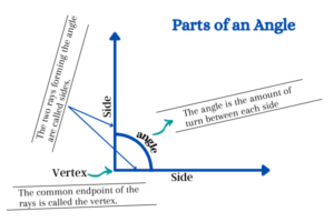 Explained! Types of Angles: Acute, Right, Obtuse, Reflex, Complete Angles