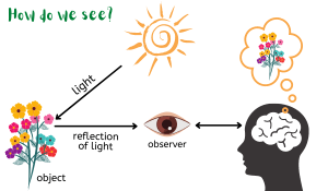 Explained! Reflection of Light, Specular Reflection, Diffused ...
