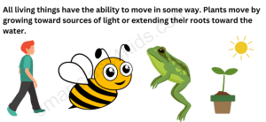 Explained: What are the 8 Characteristics of Living Organisms